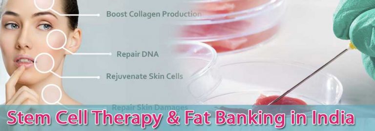 Stem Cell Therapy in India for Fat banking | Fat banking Stem Cell ...
